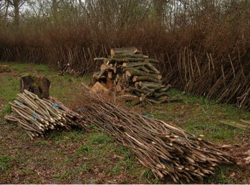 Mitigation - Forest Research