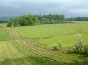 Mitigation - Forest Research