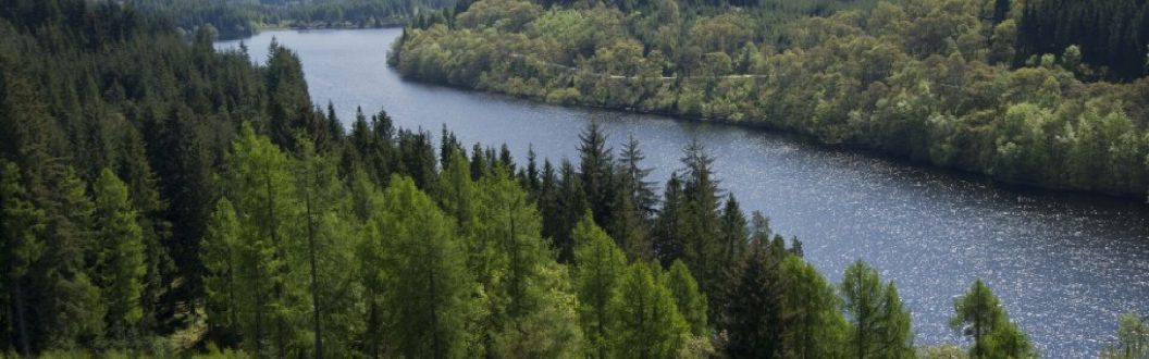 Case Studies - Forest Research