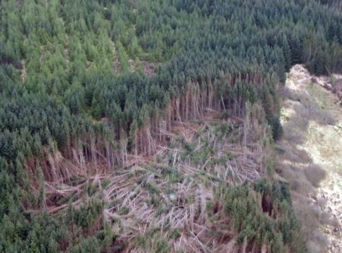 Scotland - Forest Research