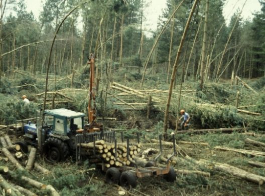 Timber production - Forest Research