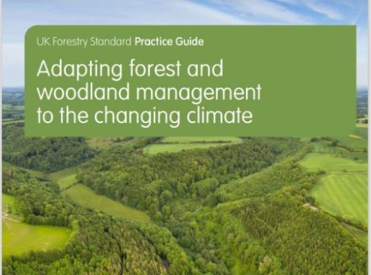 New to woodland management - Forest Research