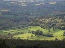 Wildlife & biodiversity - Forest Research