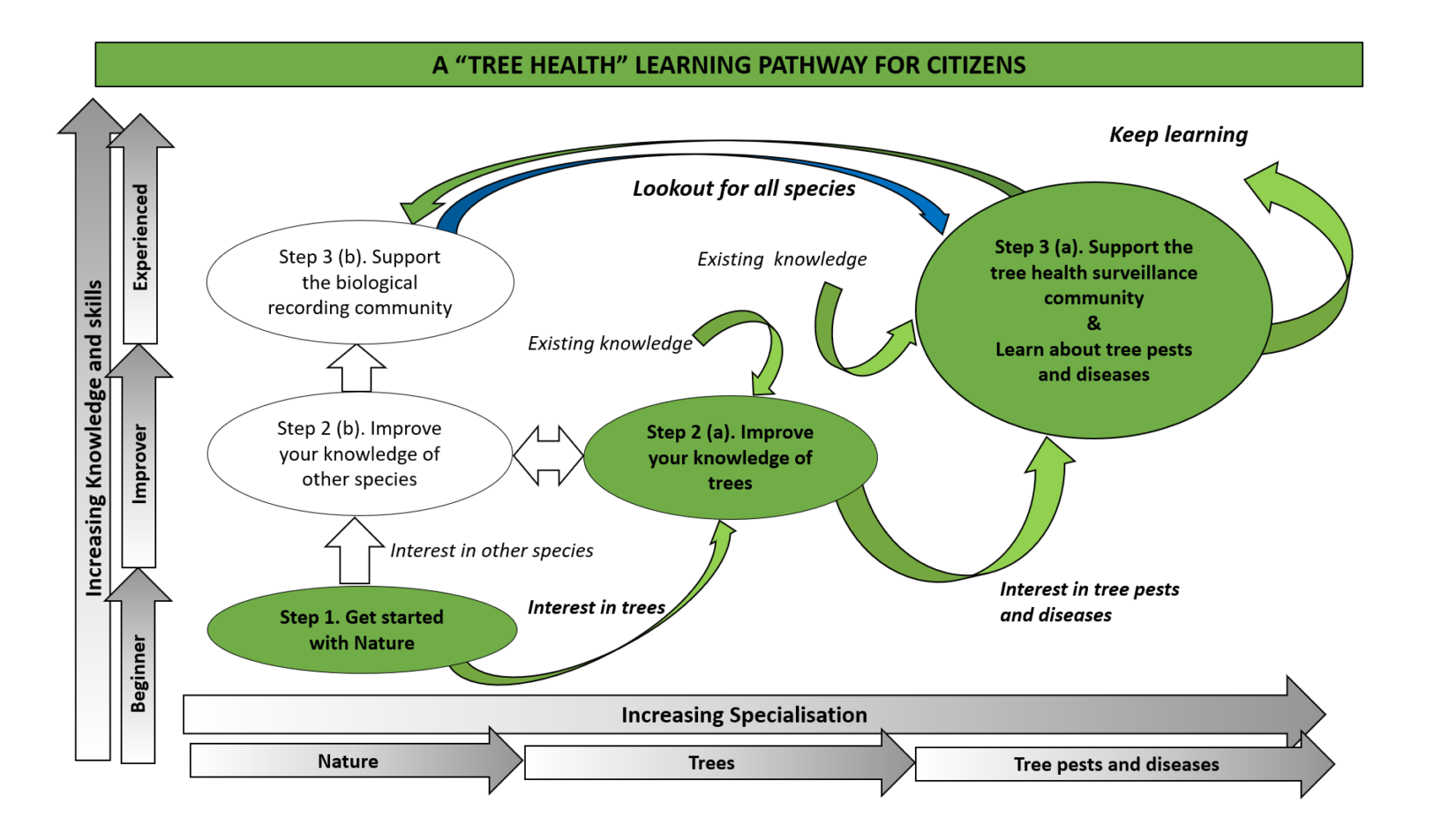 Tree Health Learning Pathway for Citizens - Forest Research