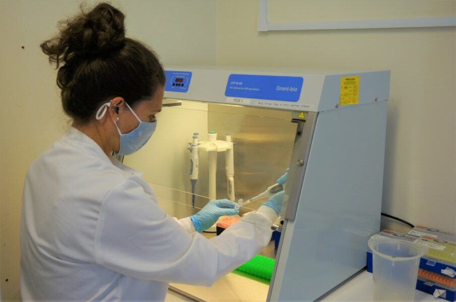 Tree Health Diagnostic and Advisory Service - Forest Research