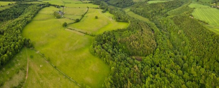 Mitigation - Forest Research