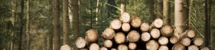 New to woodland management - Forest Research