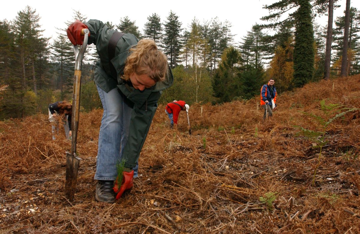 Woodland Creation and Expansion - Programme 6 - Forest Research