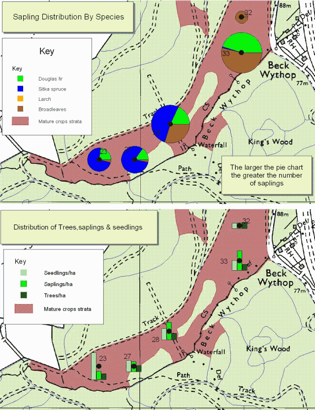 Transformation to continuous cover forestry - Forest Research