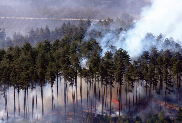 Factsheet: Climate change and risks - Forest Research