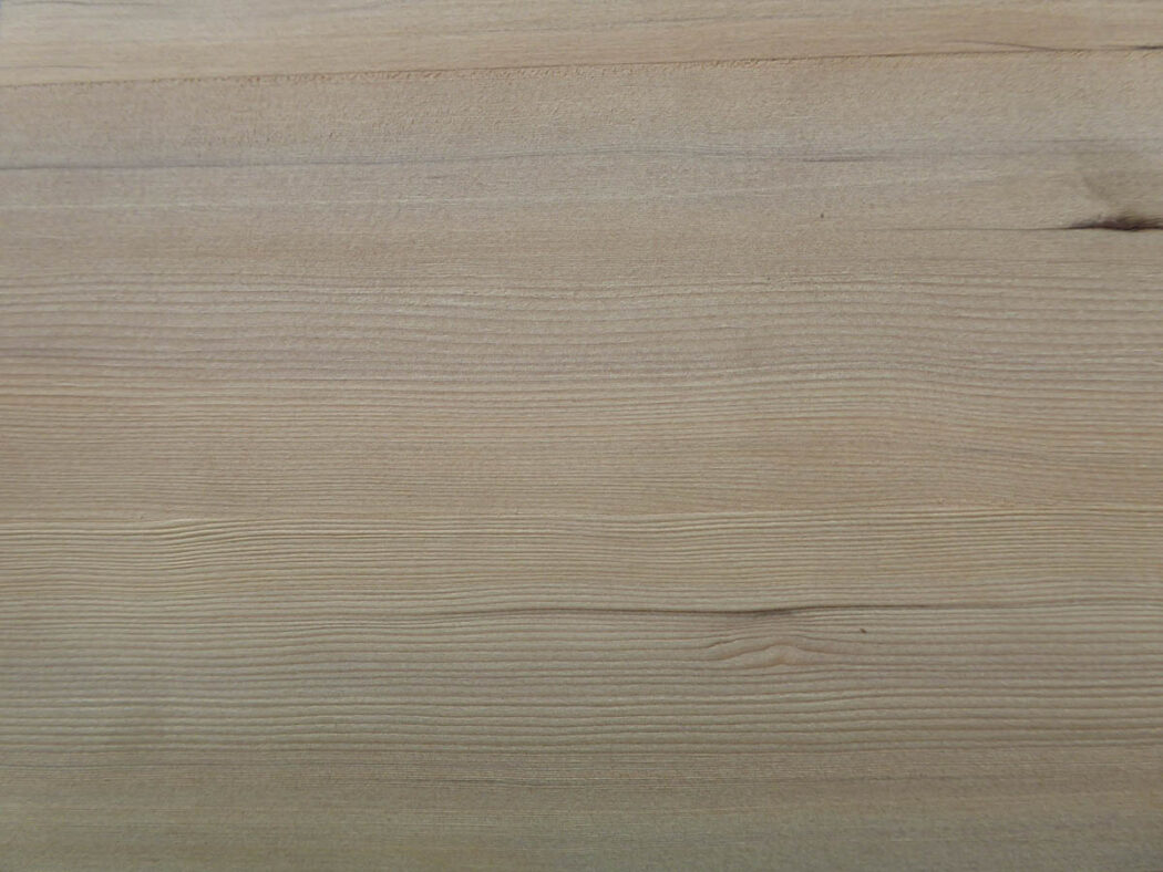 Western hemlock (WH) - Forest Research