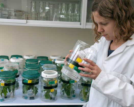 Contact us - Forest Research