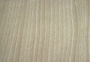 Beech (BE) - Forest Research