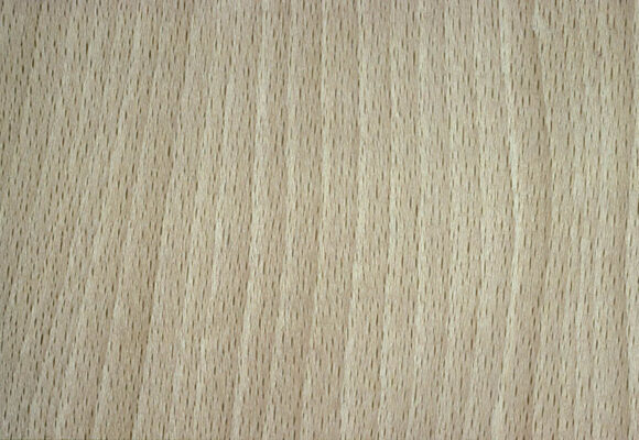 Beech (BE) - Forest Research