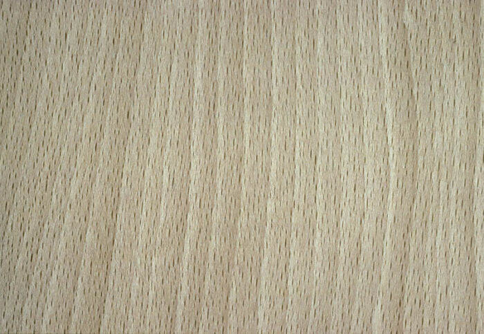 Beech (BE) - Forest Research