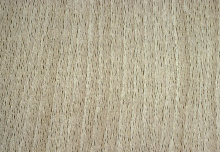 Beech (BE) - Forest Research