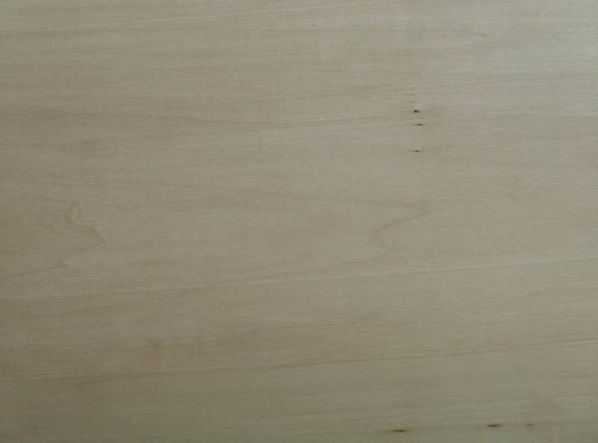 Small-leaved lime (SLI) - Forest Research