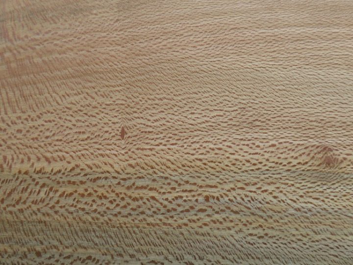 London plane (LPL) - Forest Research