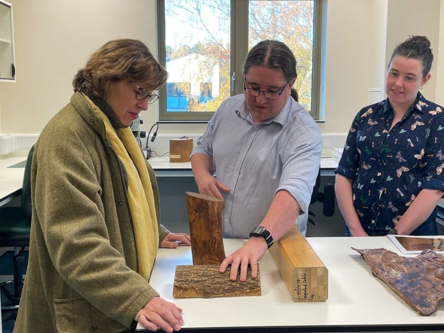 New Forestry Minister visits Alice Holt and announces £16 million NCF ...