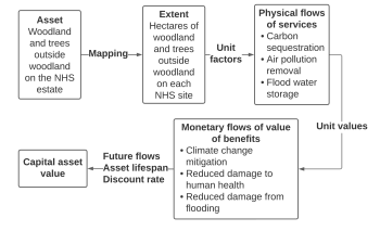 NHS trees and woodland pilot valuation study - Forest Research