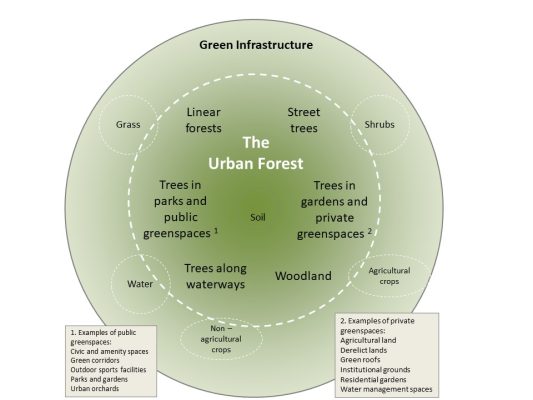 What is the urban forest? - Forest Research
