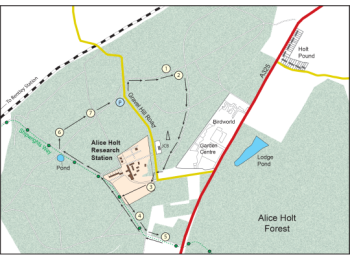Alice Holt Adaptation Trail - Forest Research