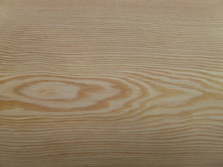 European larch (EL) - Forest Research