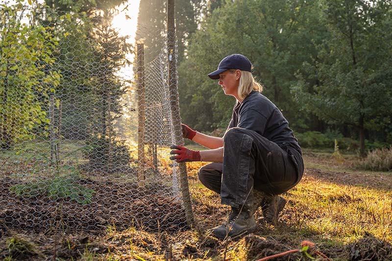 Benefits - Forest Research