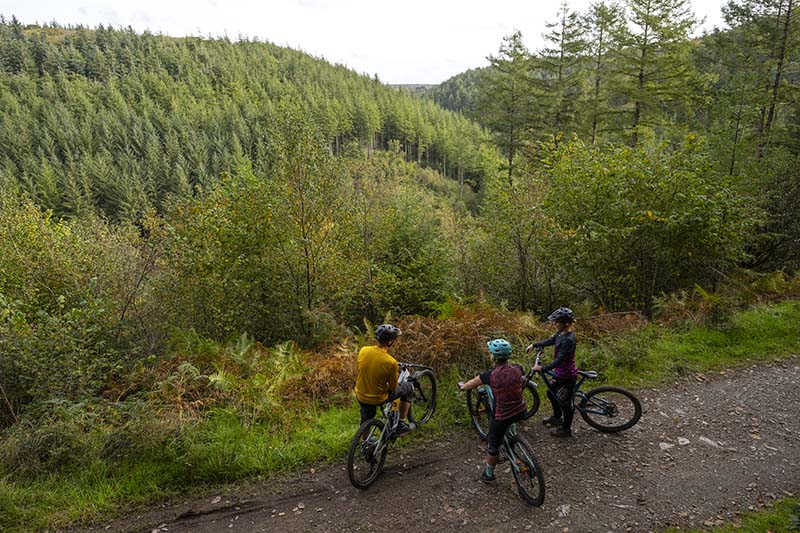 Careers - Forest Research