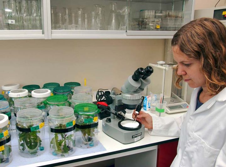 About Us Forest Research