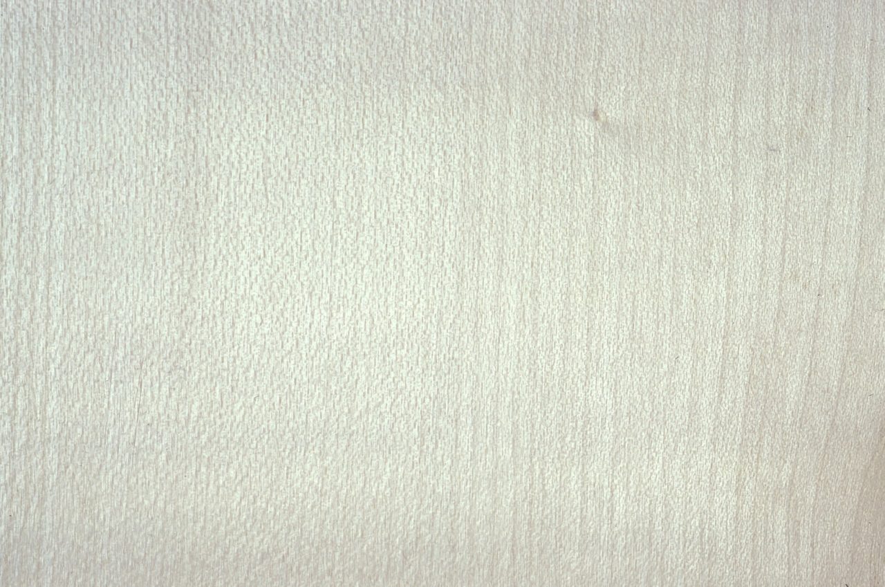 Sycamore (SY) - Forest Research