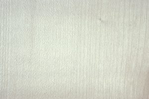 Sycamore (SY) - Forest Research