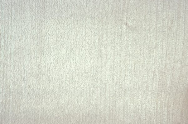 Sycamore (SY) - Forest Research