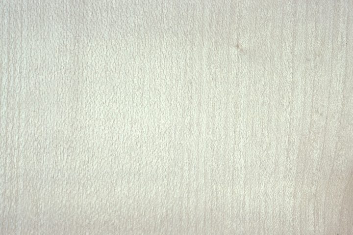 Sycamore (SY) - Forest Research