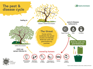 Biosecurity - Forest Research