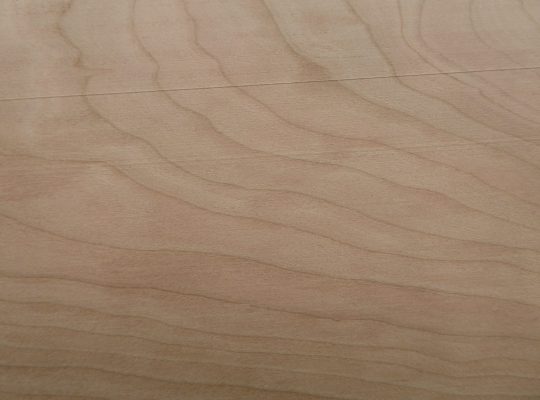 Wild cherry, gean (WCH) - Forest Research