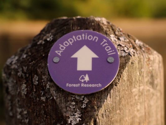 Alice Holt Adaptation Trail - Forest Research