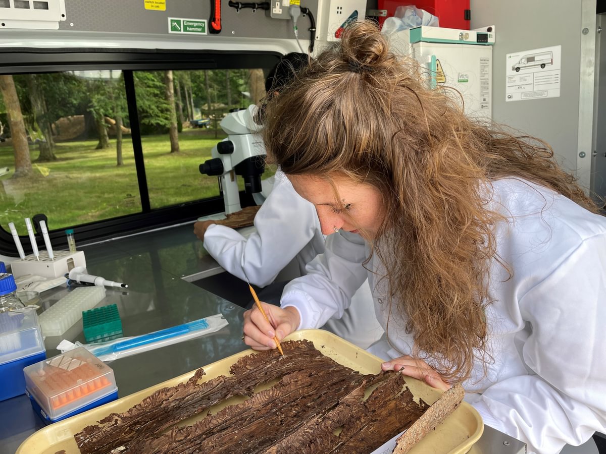 Careers - Forest Research