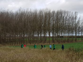 Agroforestry - Forest Research