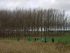 Agroforestry - Forest Research
