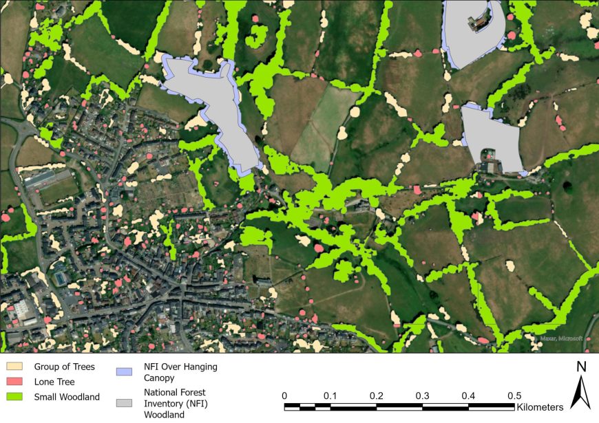 England’s non-woodland trees mapped and available freely for the first ...