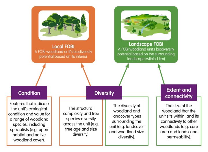 The FOrest Biodiversity Index (FOBI) tool - Forest Research