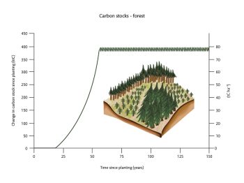 Carbon Sequestration - Forest Research