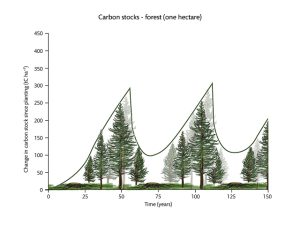 Carbon Sequestration - Forest Research