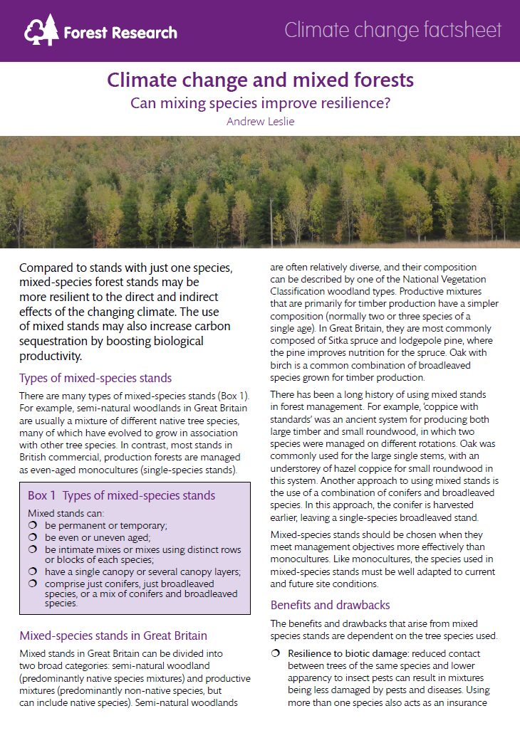 Factsheet: Climate change and mixed forests - Forest Research